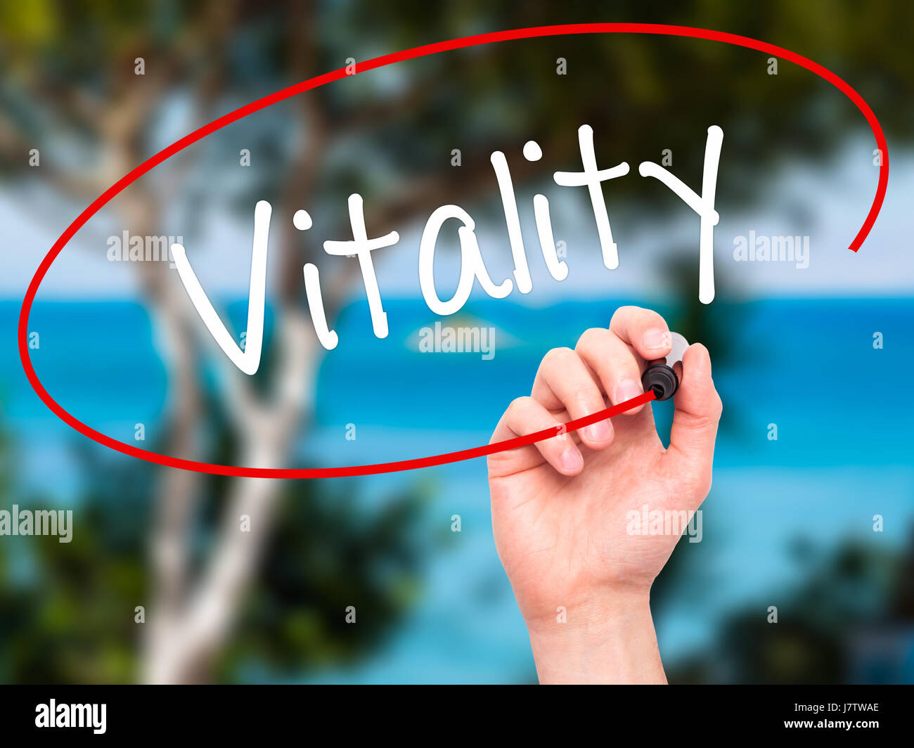 Man Hand writing Vitality with black marker on visual screen. Isolated ...