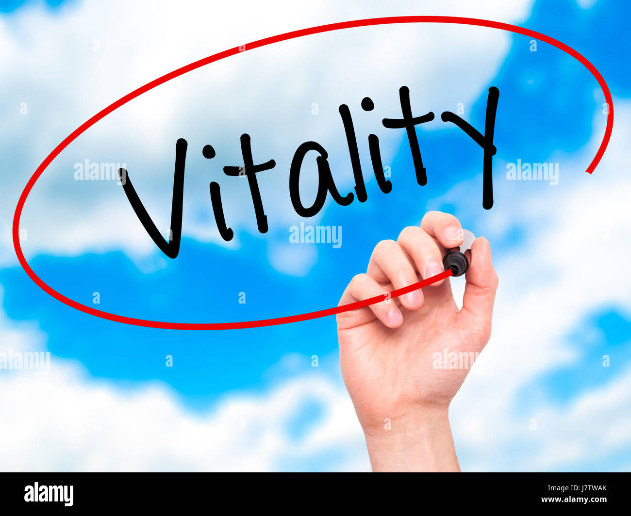 Man Hand writing Vitality with black marker on visual screen. Isolated ...