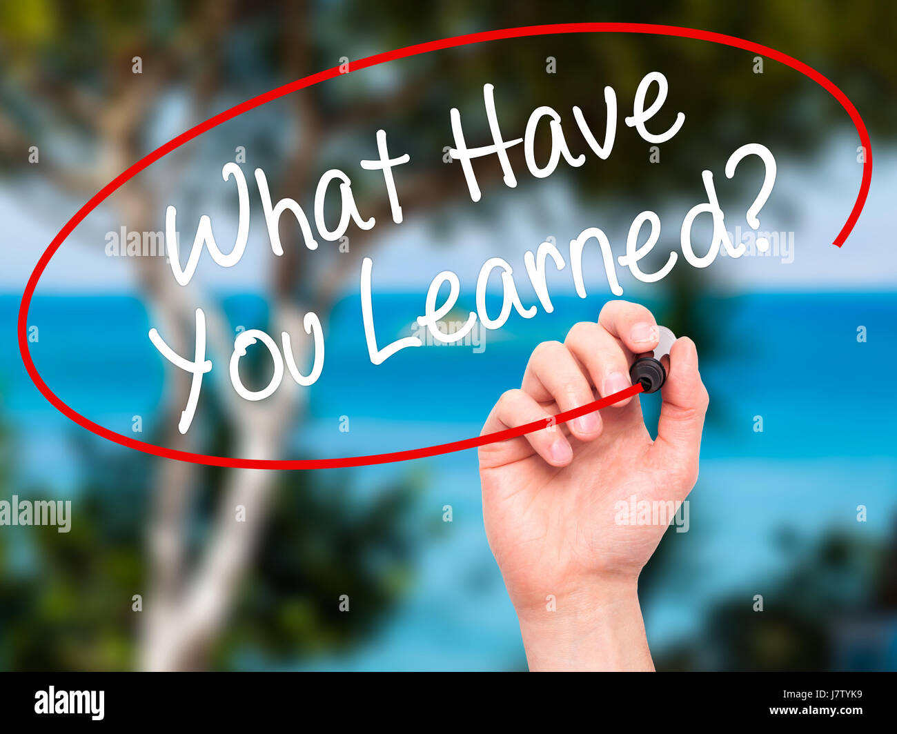 Man Hand writing What Have You Learned? with black marker on visual ...