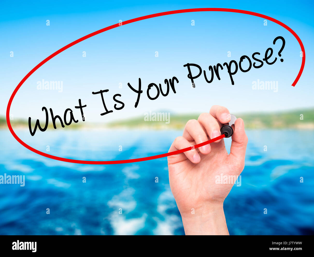 Man Hand writing What Is Your Purpose? with black marker on visual ...