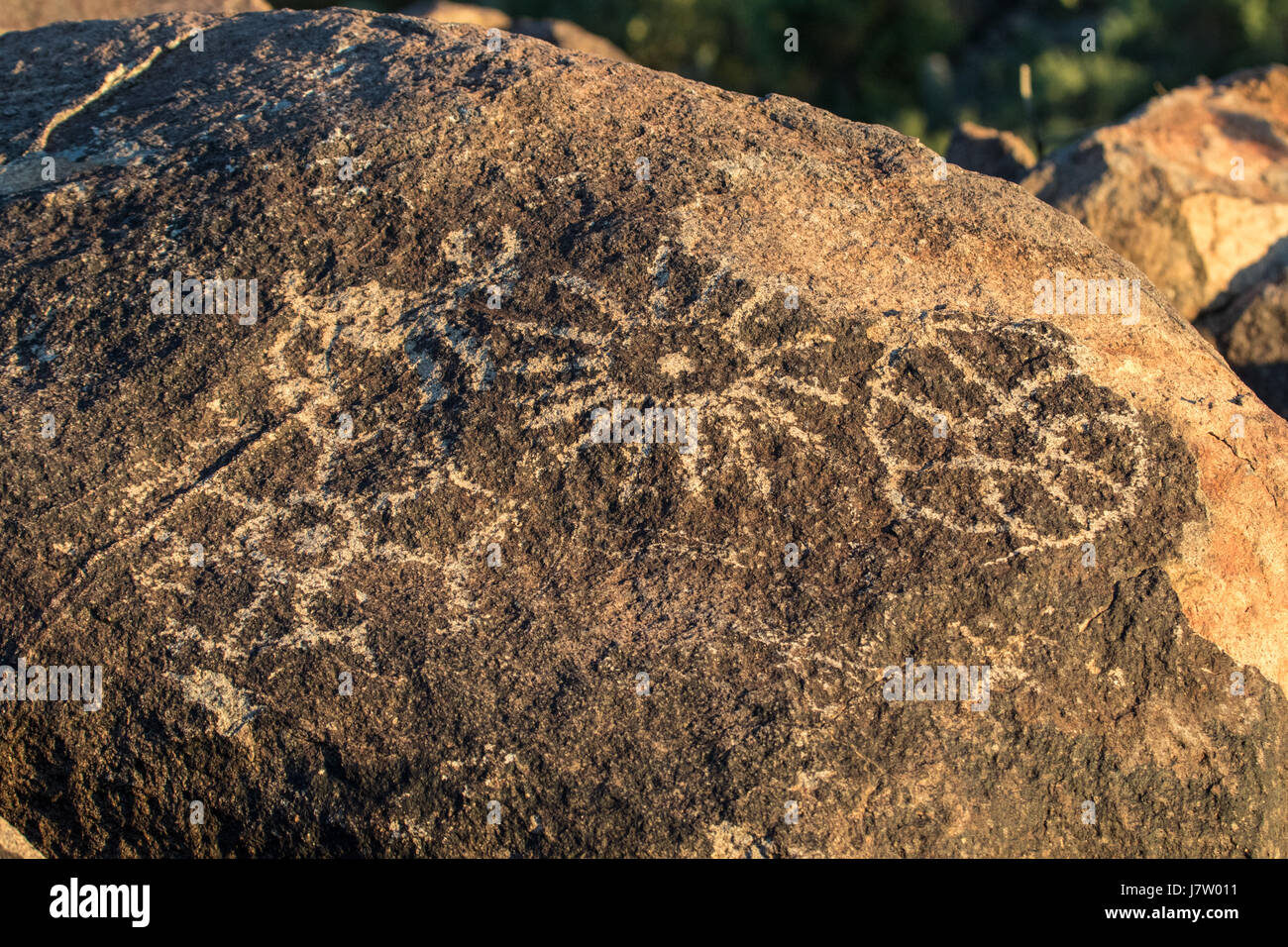 Ancient indian petroglyphs on a rock Stock Photo - Alamy