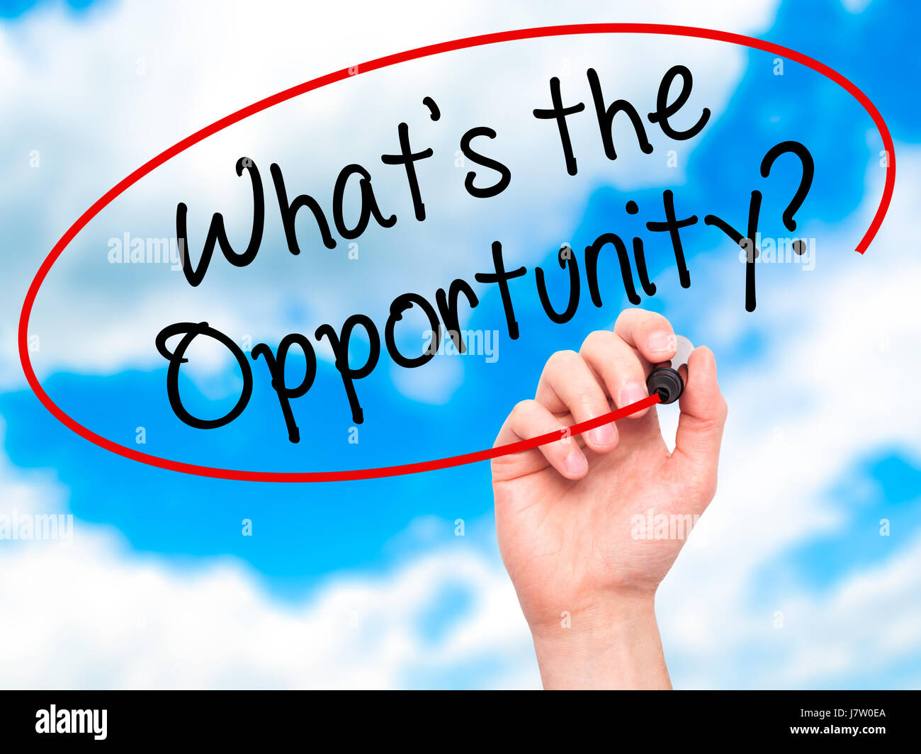 Man Hand writing What's the Opportunity? with black marker on visual ...