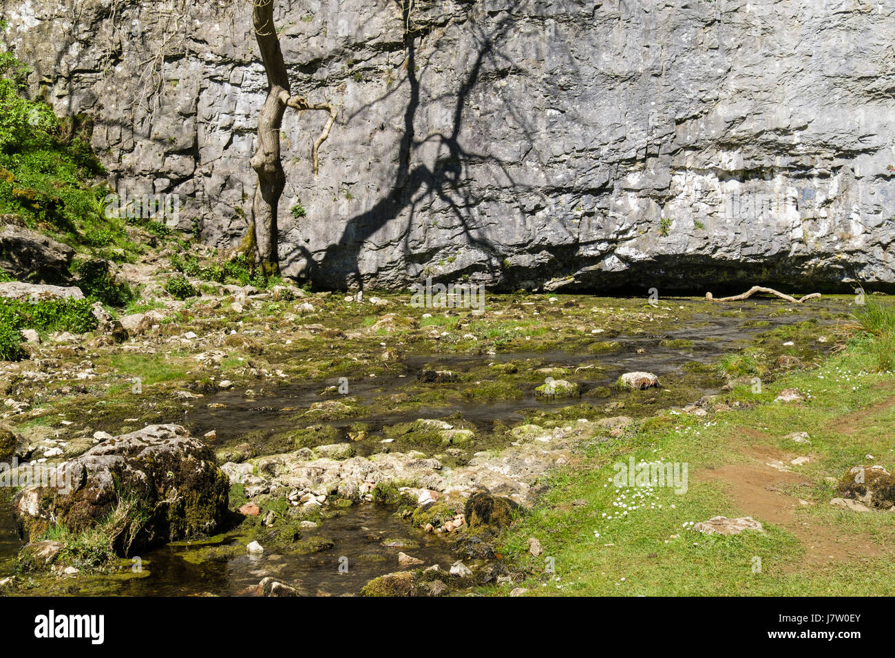 Malham Beck emerging from beneath Malham Cove limestone rock cliff ...