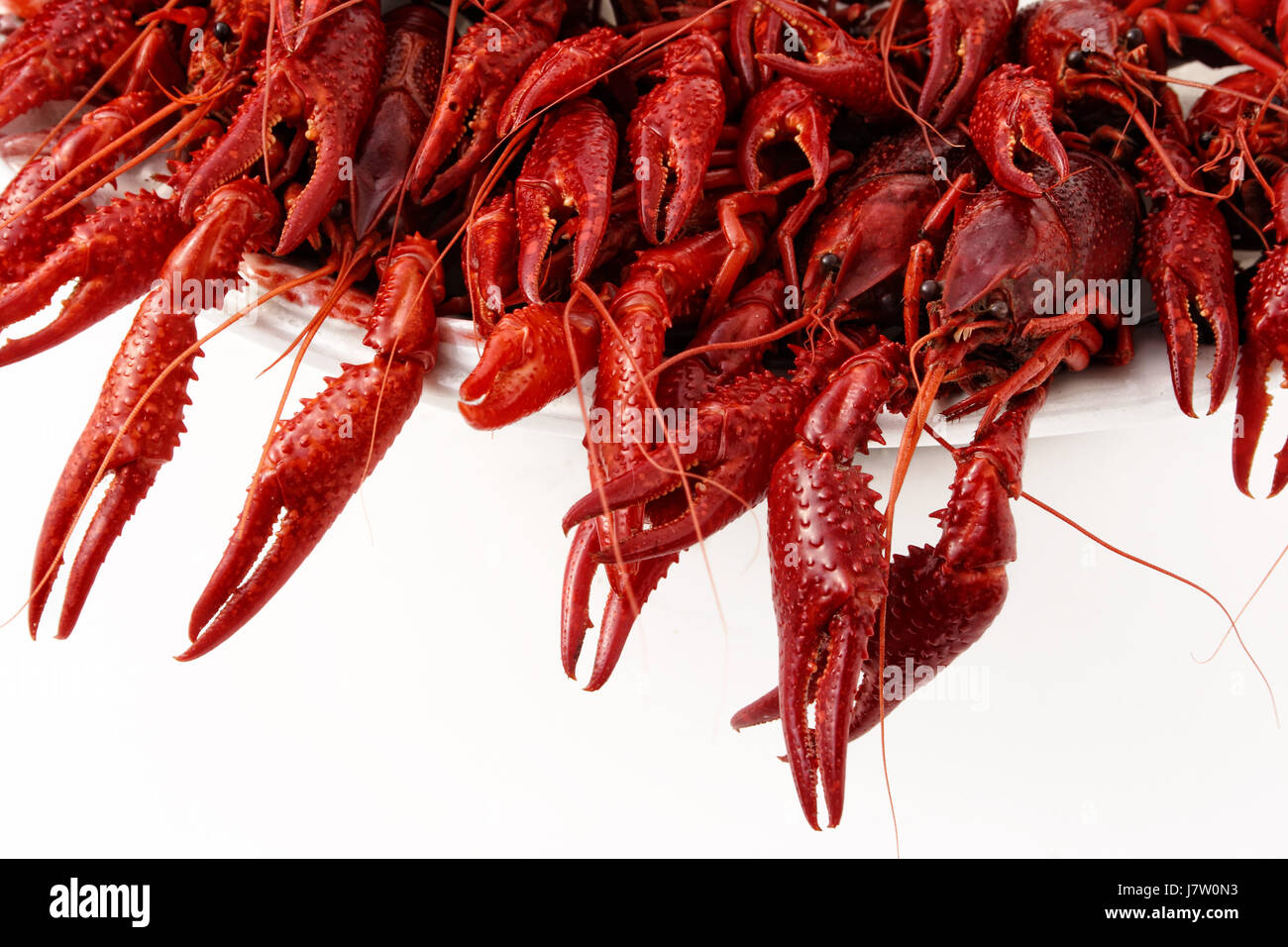 crab seafood crustacean crayfish restaurant food aliment fish lobster ...