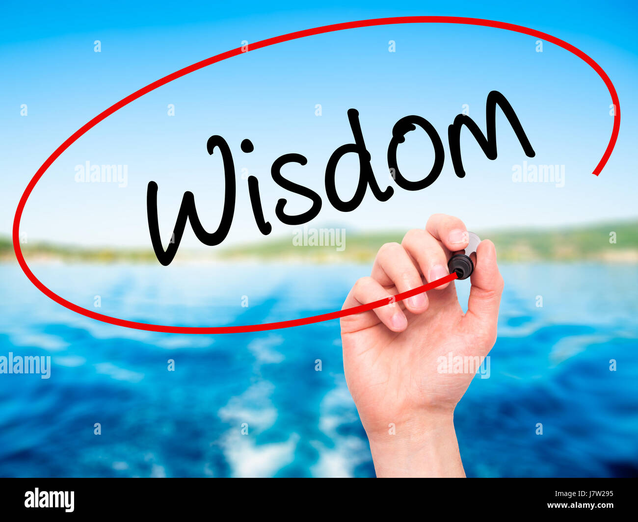 Man Hand writing Wisdom with black marker on visual screen. Isolated on ...