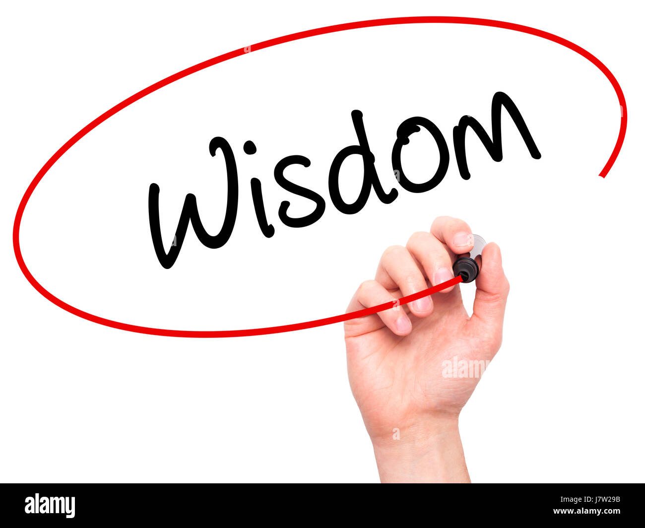 Man Hand writing Wisdom with black marker on visual screen. Isolated on ...