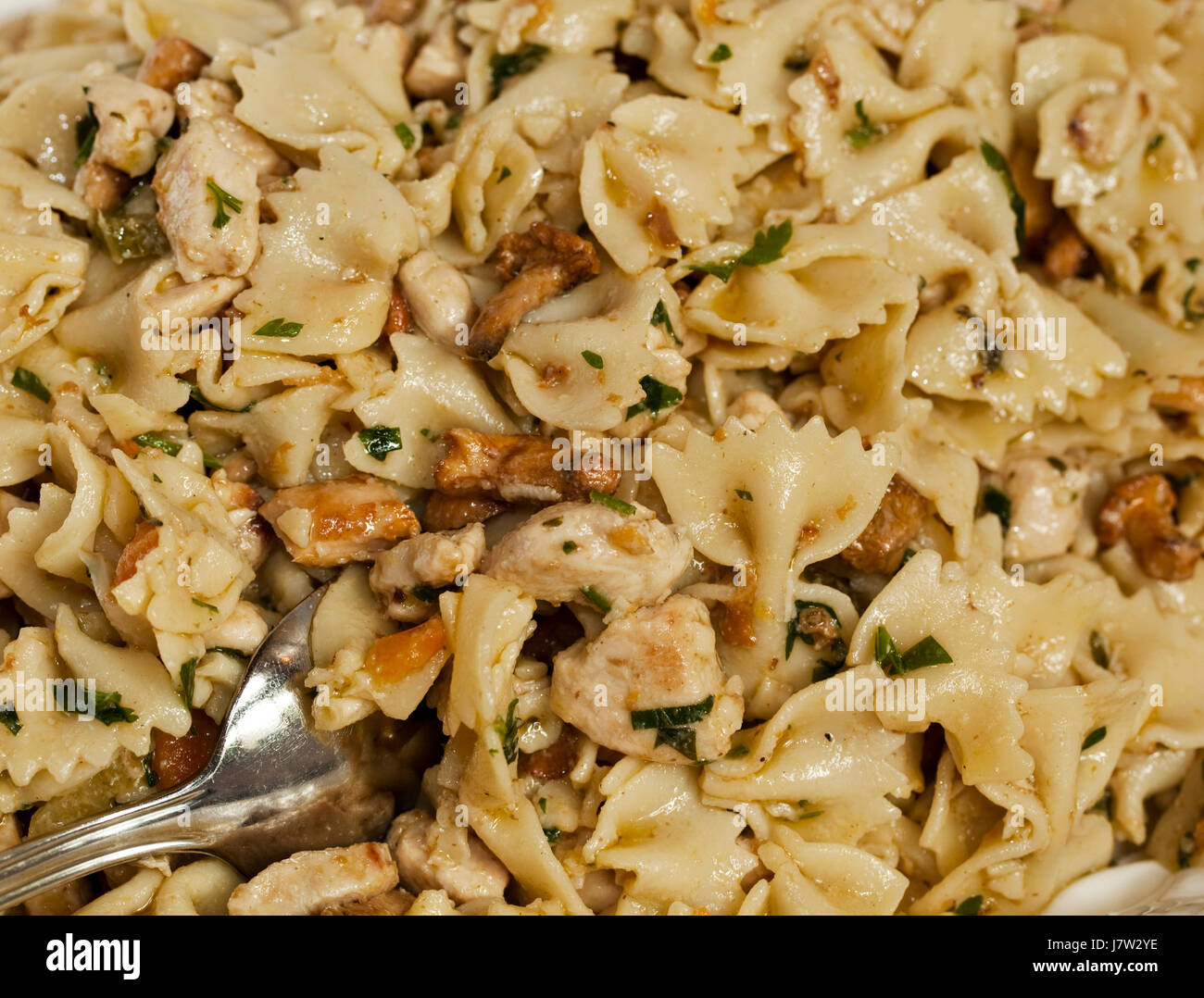 mushrooms food dish meal lunch pasta supper dinner portion breakfeast ...