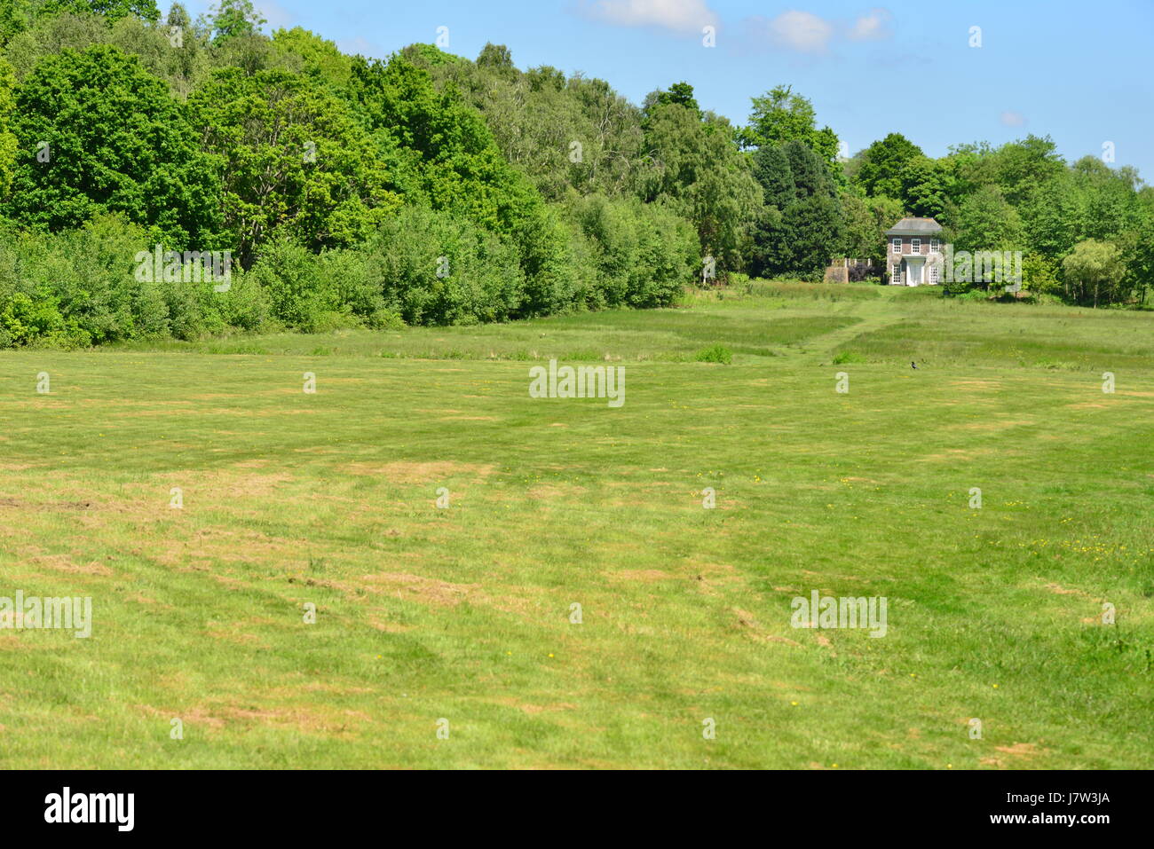 A very large lawn area on a country estate in Sussex Stock Photo - Alamy