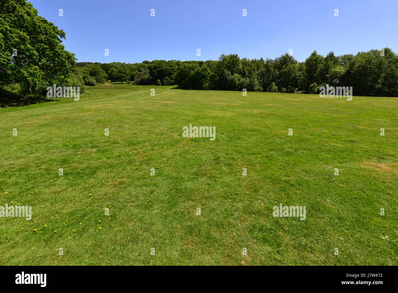 A very large lawn area on a country estate in Sussex Stock Photo - Alamy