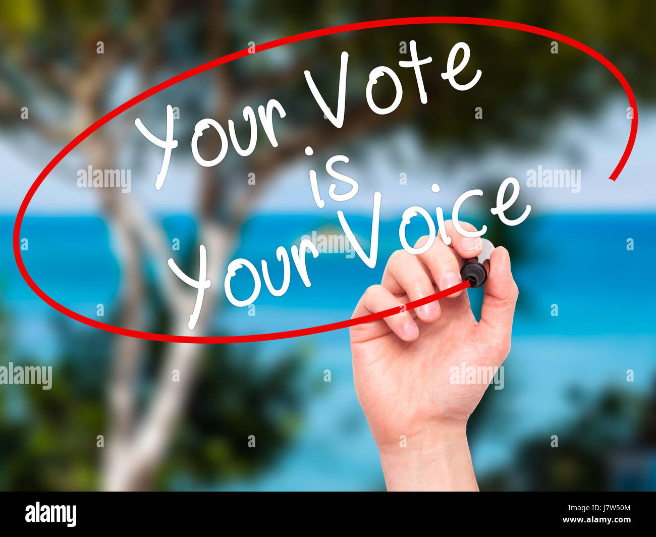 Man Hand writing Your Vote is Your Voice with black marker on visual ...