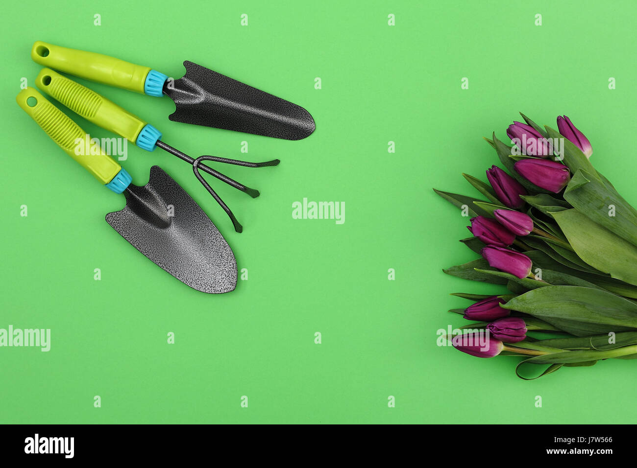 Gardening tools on a green background Stock Photo - Alamy