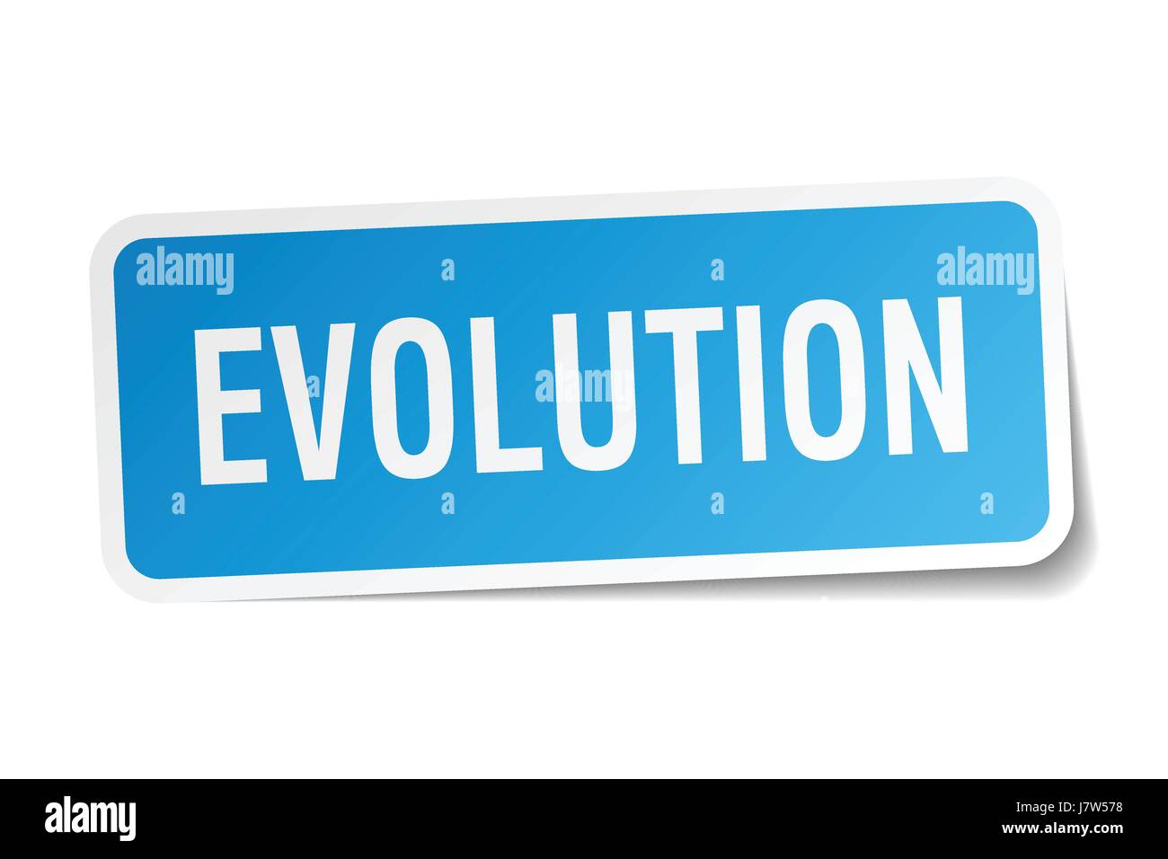 evolution square sticker on white Stock Vector Image & Art - Alamy