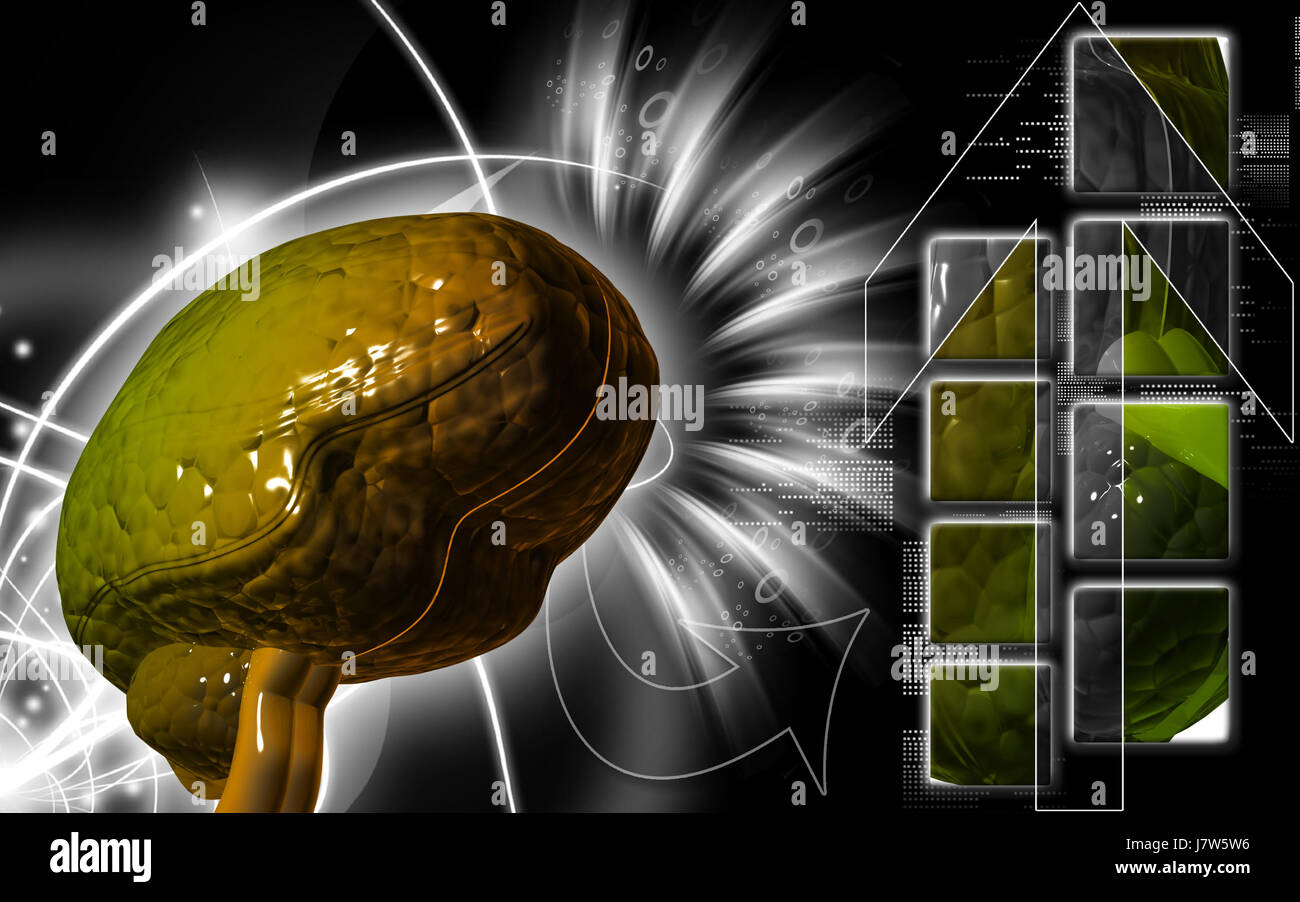 health medicinally medical graphics colour human human being ...