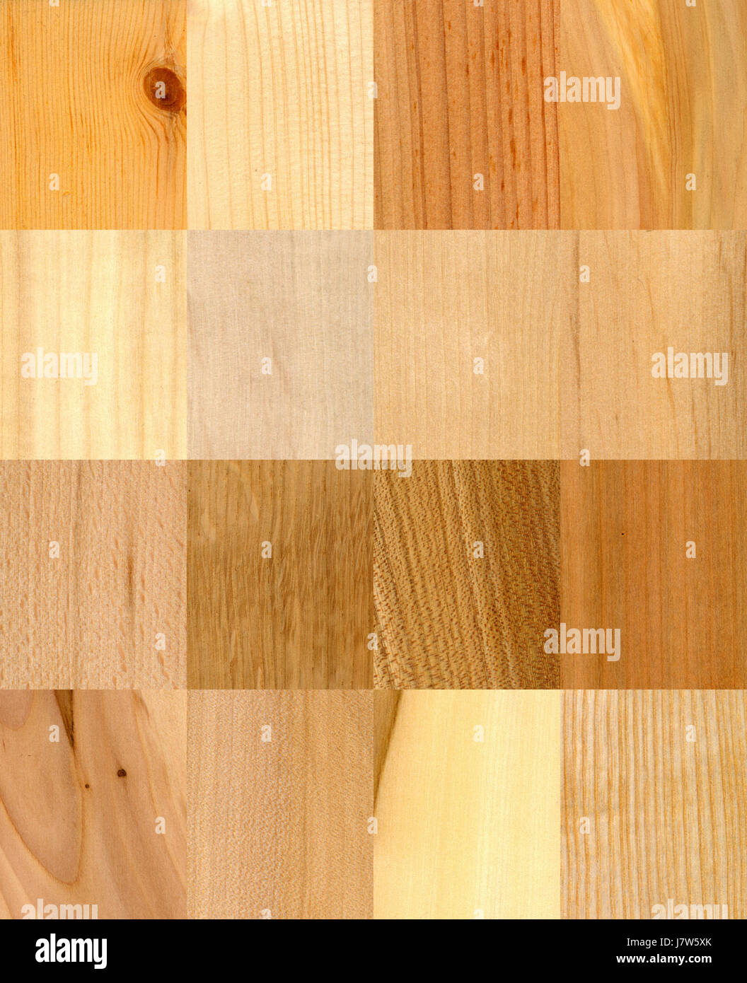 This collection of 16 wood samples represents various types of wood ...