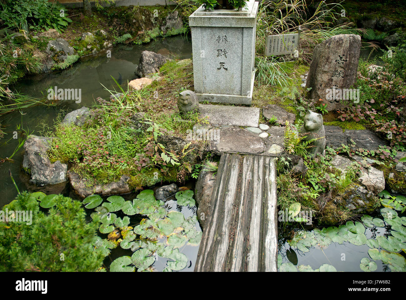 garden asia traditional japanese gardening japan asian gardens plants ...
