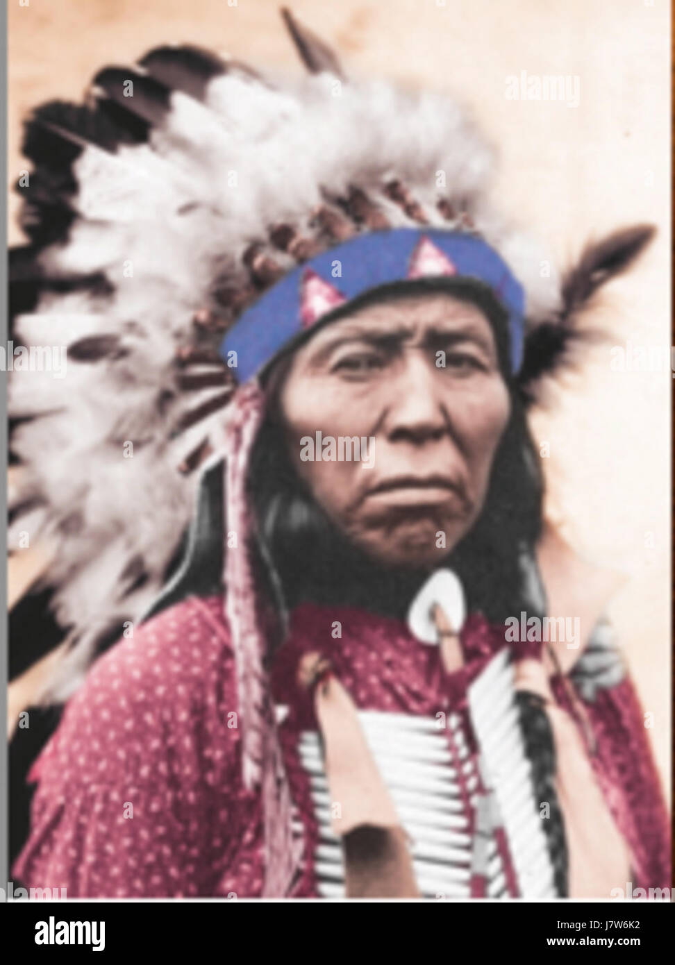 Chief Flying Hawk was a prominent Native American leader. His ...
