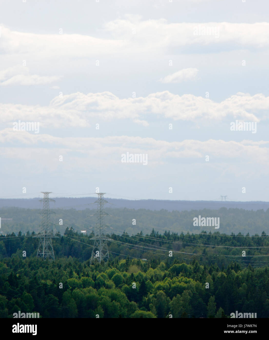 Powerline in forest landscape Stock Photo - Alamy