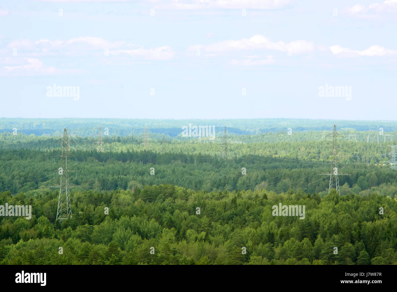 Powerline in forest landscape Stock Photo - Alamy