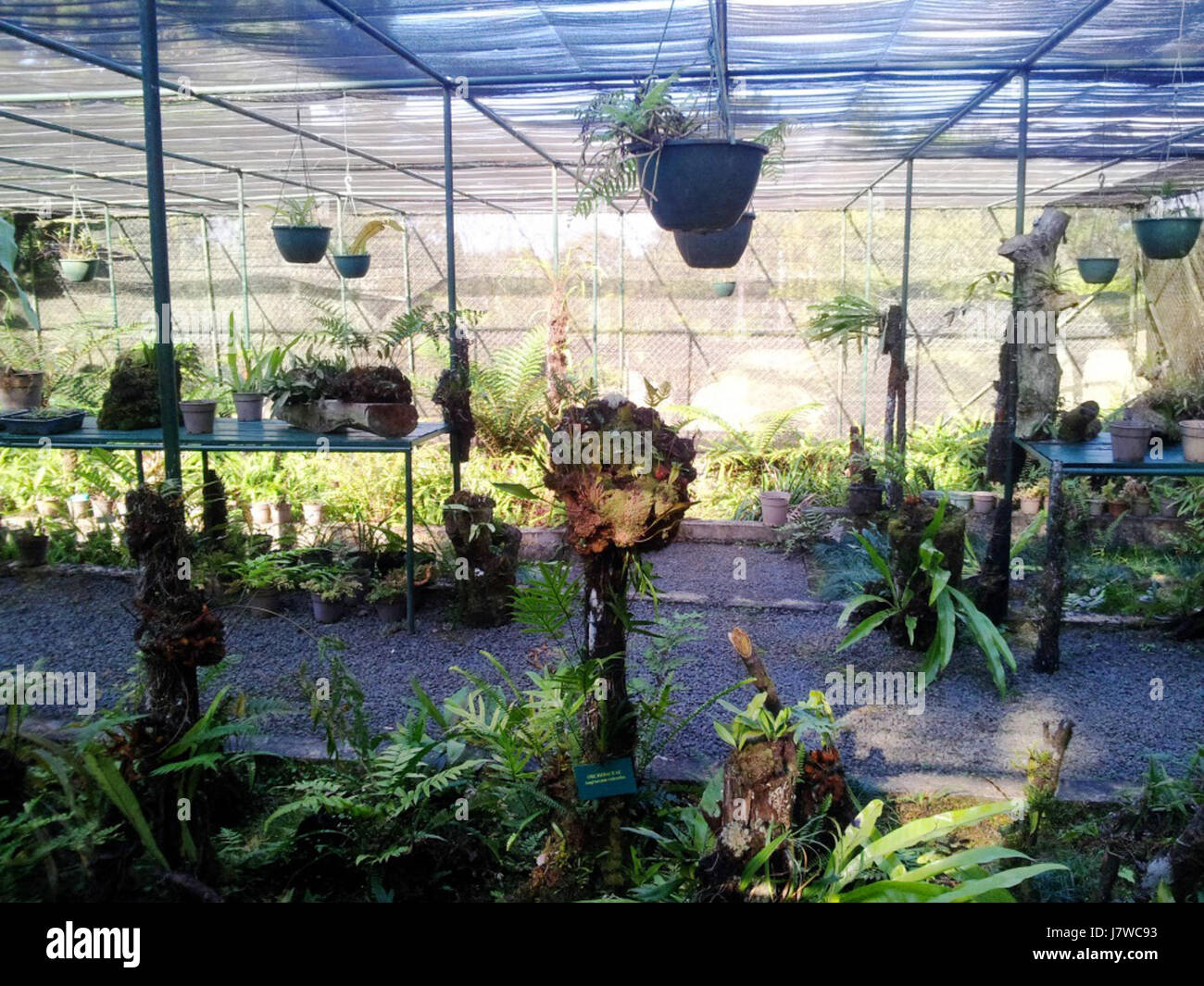 Curepipe mauritius hi-res stock photography and images - Alamy