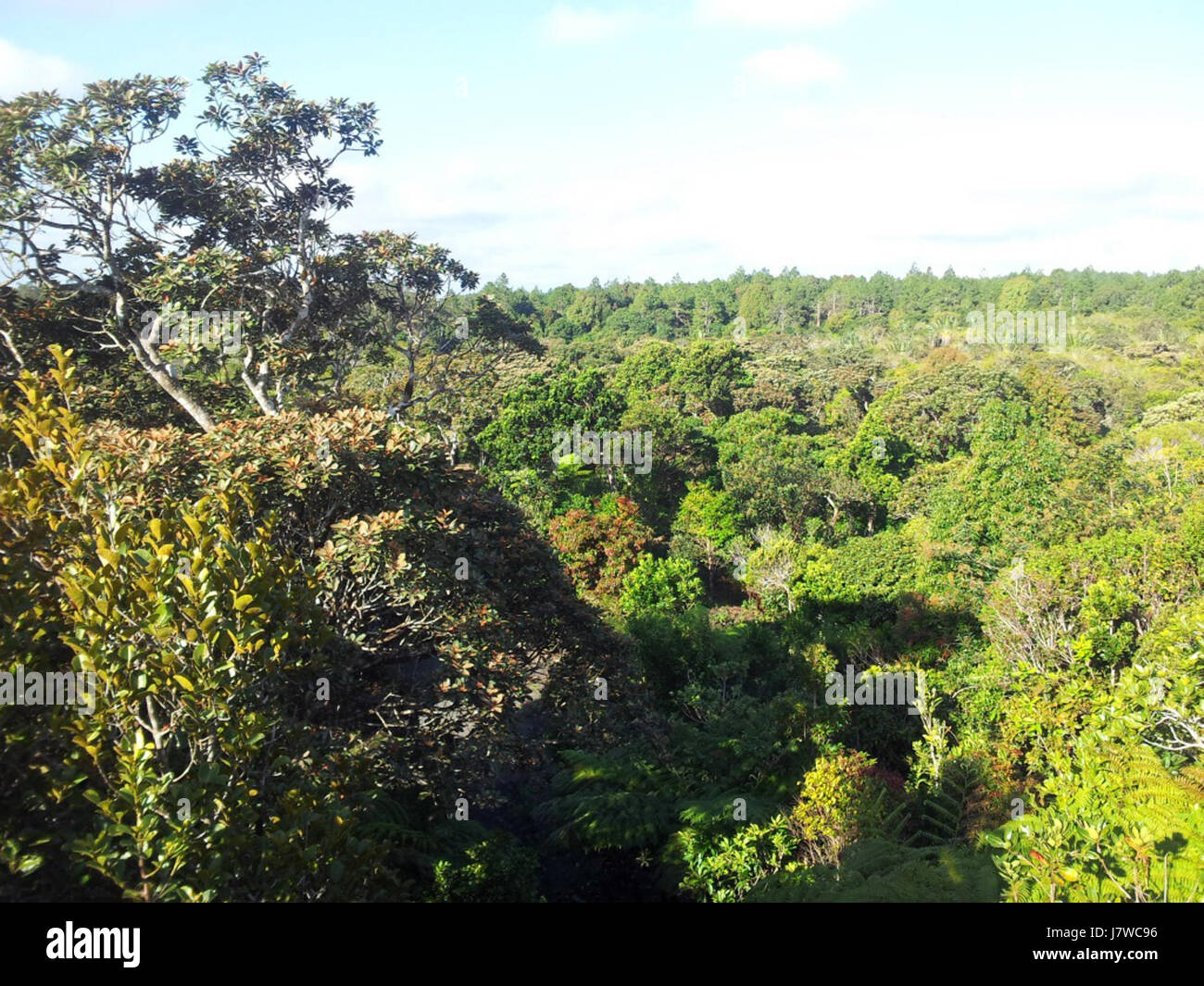 The MonVert Nature Walk offers a breathtaking view of the indigenous ...