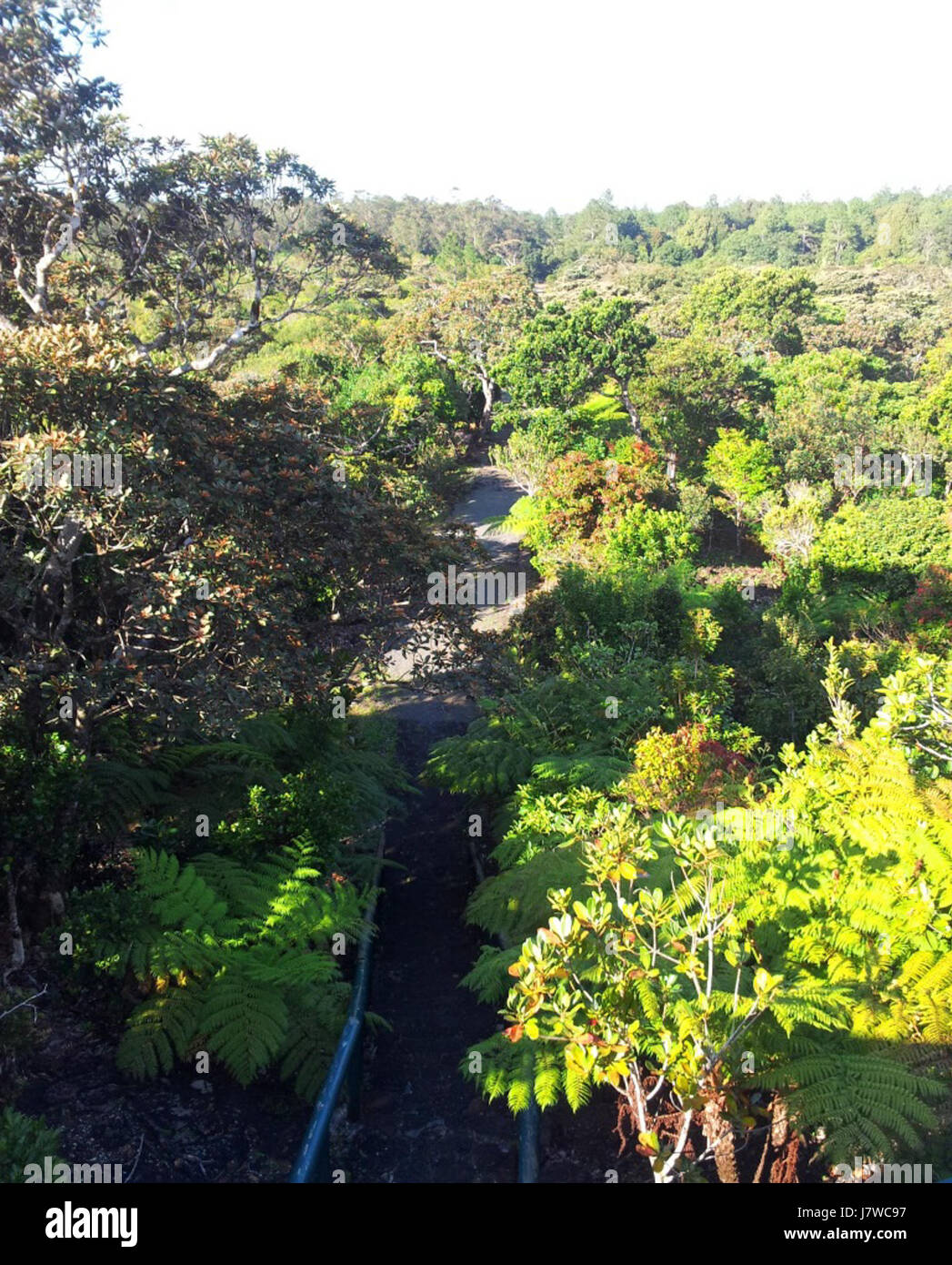 The MonVert Nature Walk offers a scenic view from its lookout tower ...