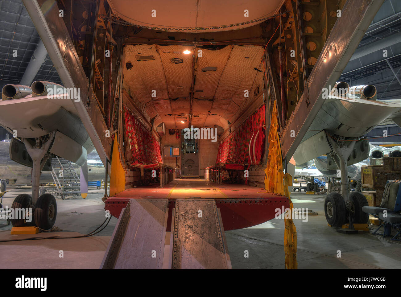 '16 19 011 caribou' refers to a specific caribou specimen, possibly identified in a catalog or ...