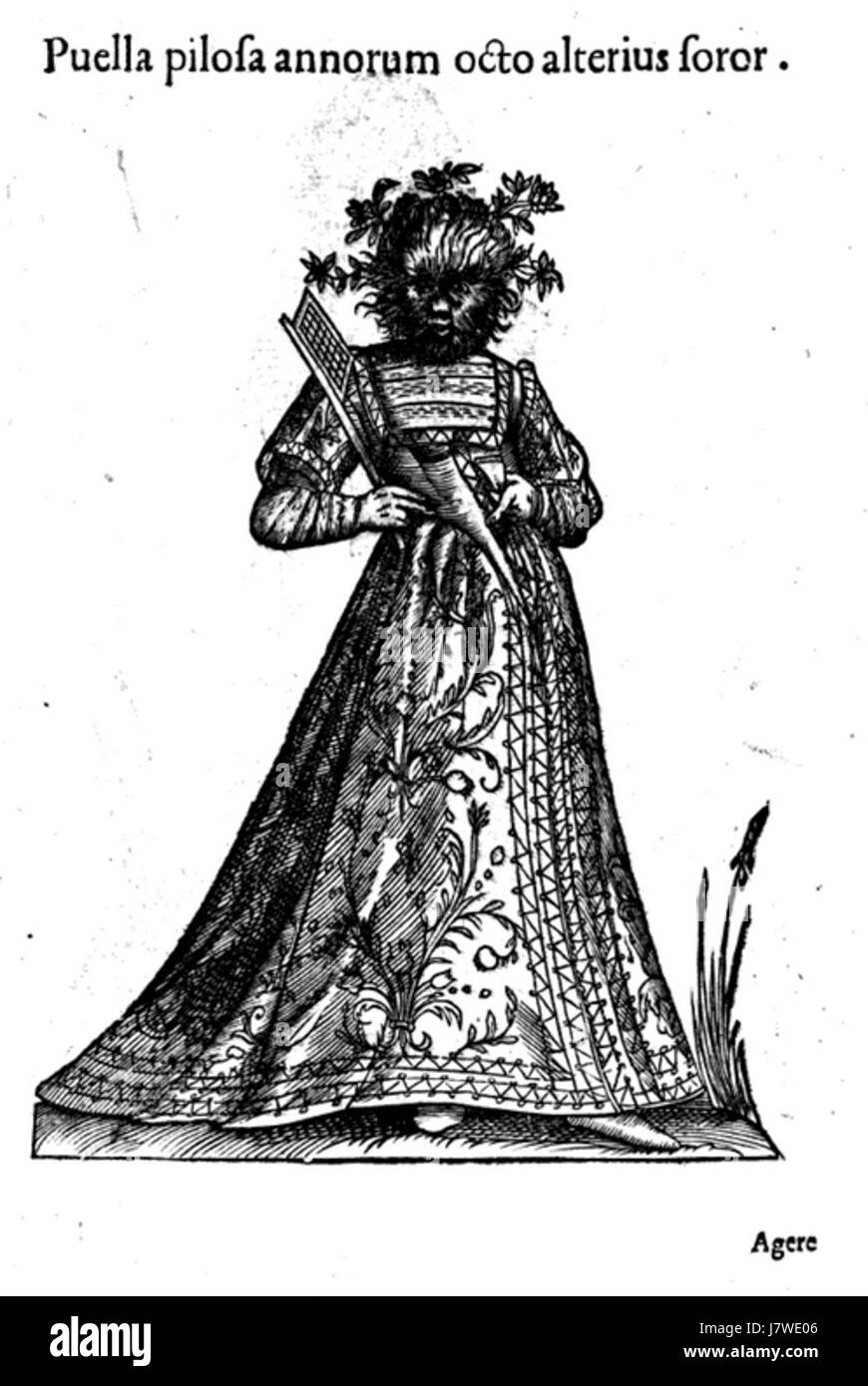 Renaissance animals Cut Out Stock Images & Pictures - Alamy