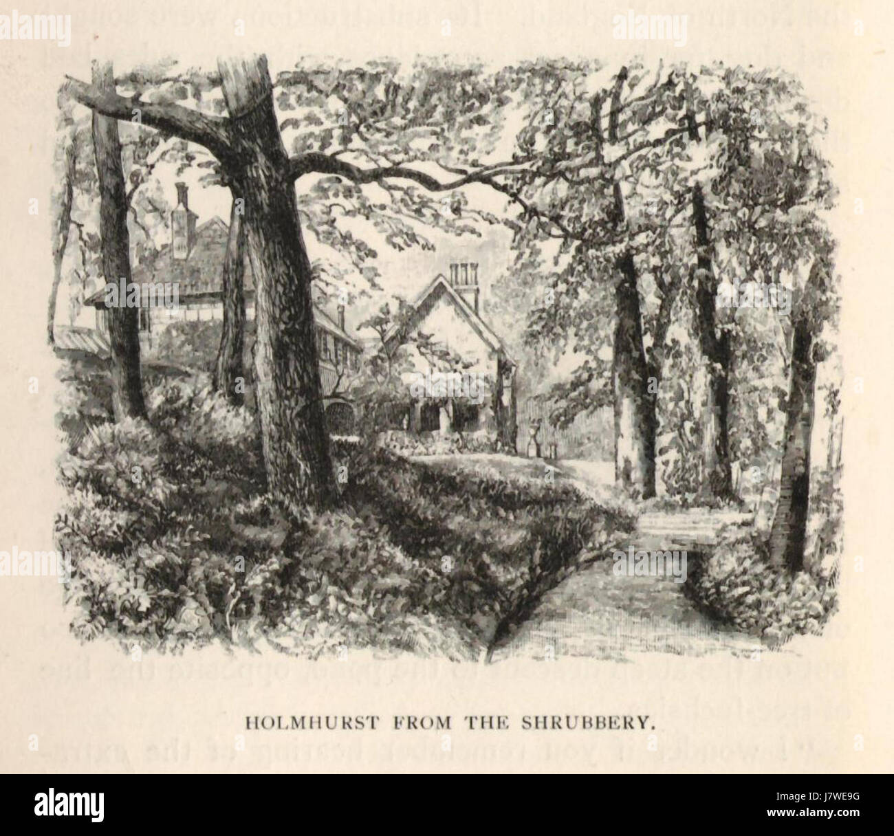 At holmhurst from the shrubbery Stock Photo - Alamy