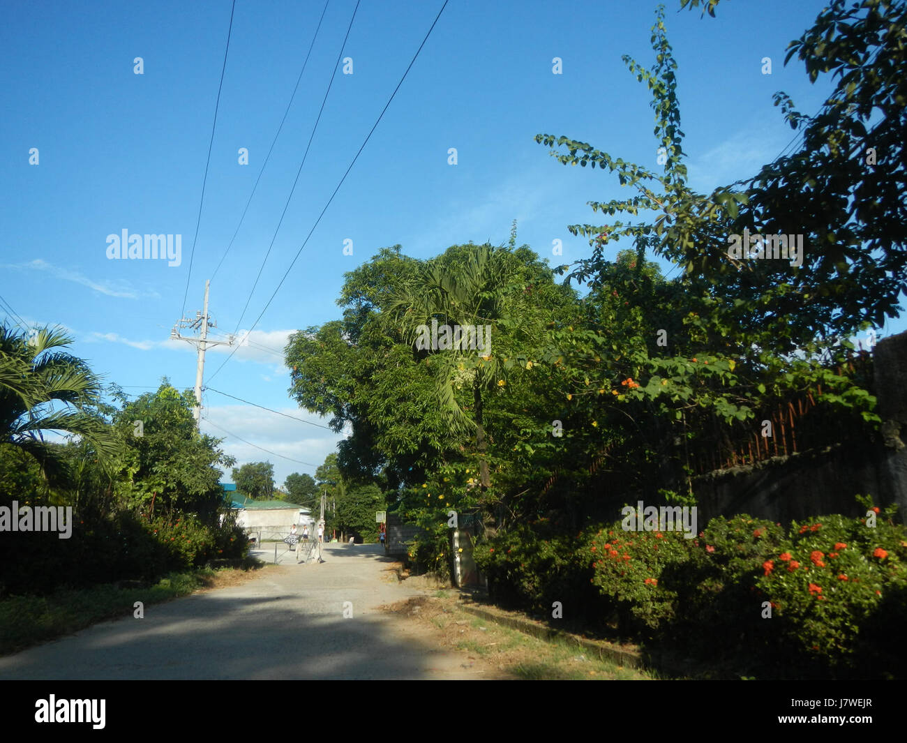 This image shows the rural landscape of San Ildefonso, Bulacan ...