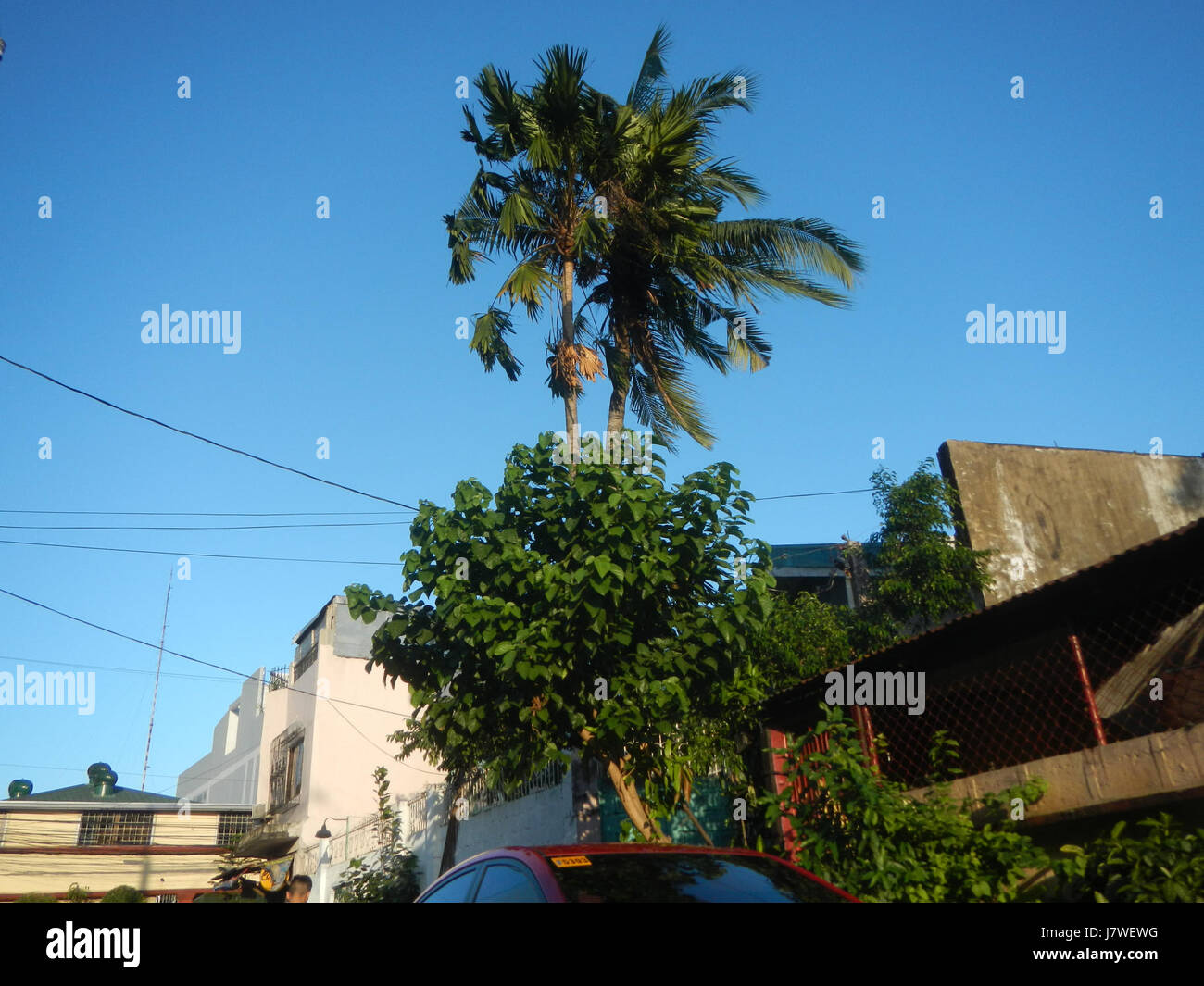 This image shows the location of Barangay Boni Avenue in the Poblacion ...