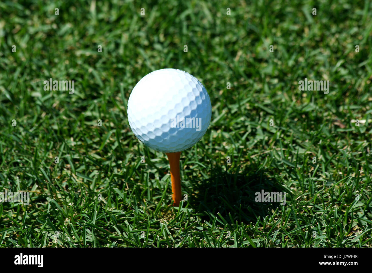 sport sports game tournament play playing plays played ball balls golf ...