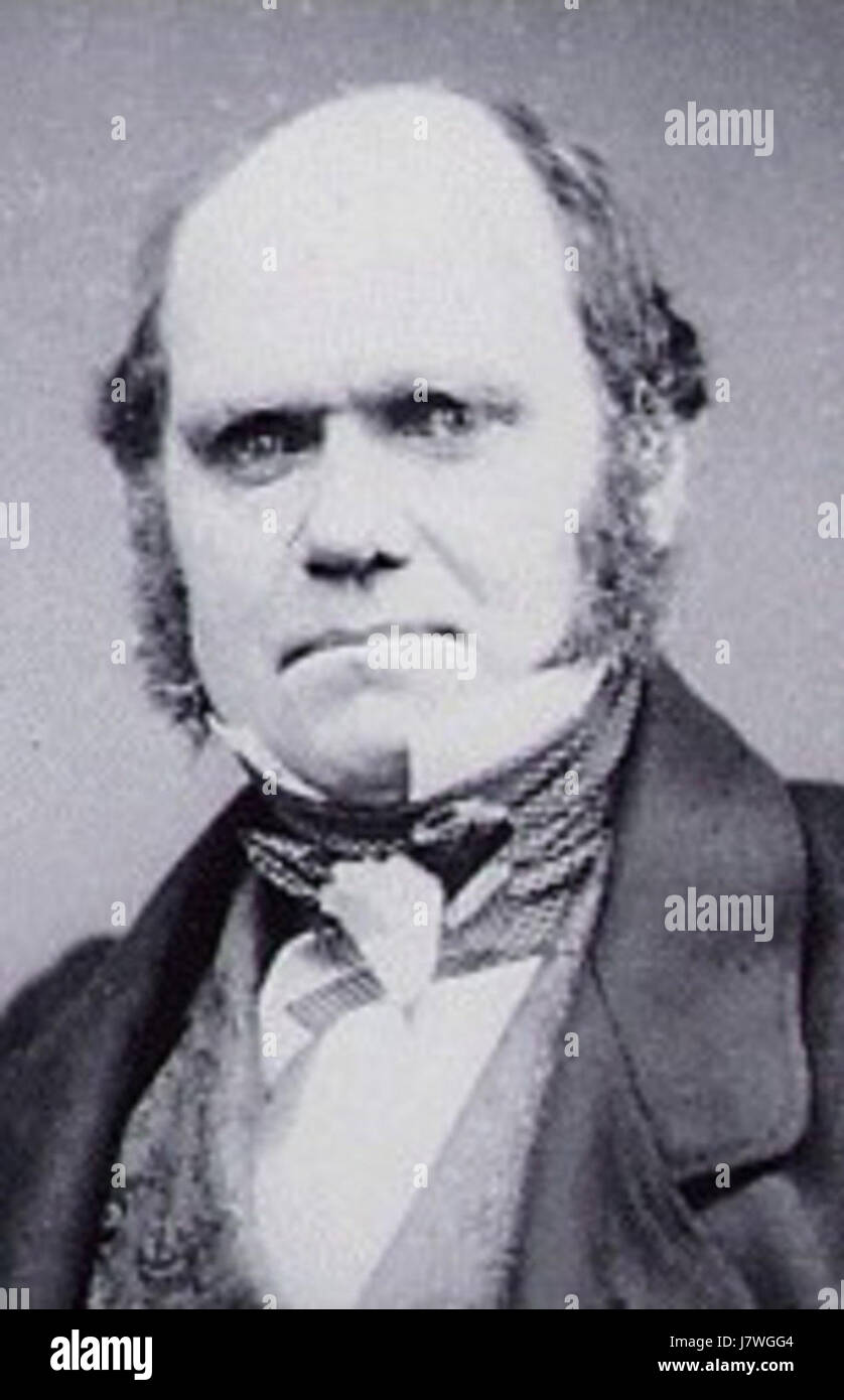 A portrait of Charles Darwin (1809–1882), the English naturalist best ...