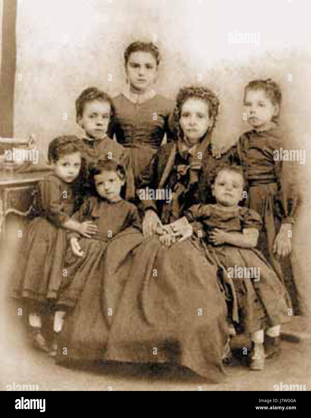 Anna Nery was a Brazilian nurse and one of the first women to serve in ...