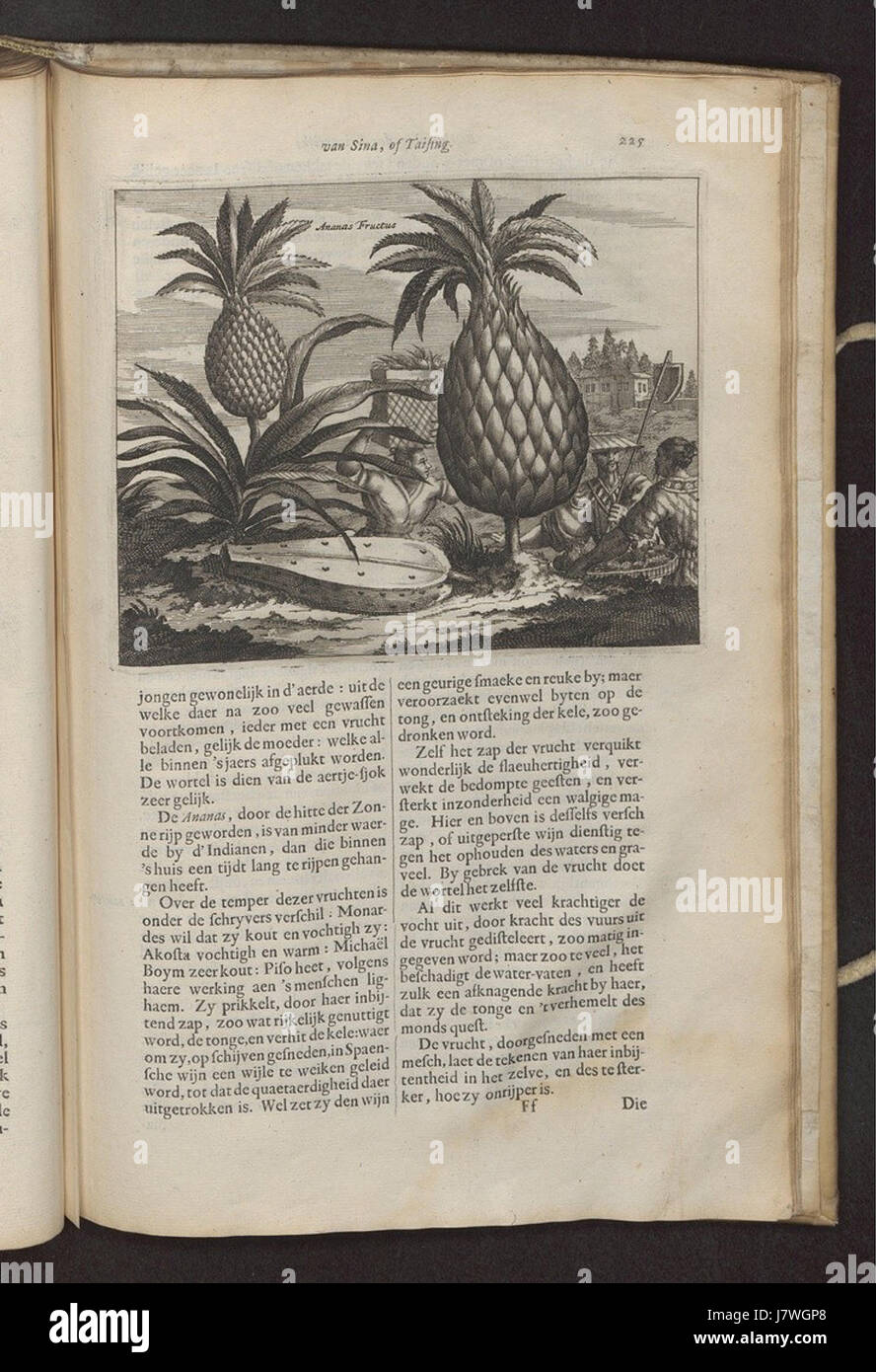 Dapper 1670 Gedenkwaerdig bedryf UB Radboud Uni Nijmegen 180148540 959 ...