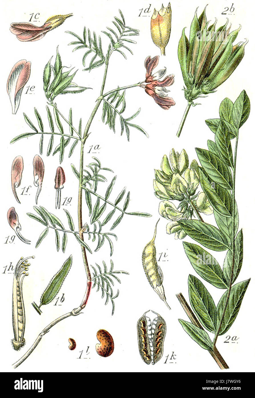 Families belong Cut Out Stock Images & Pictures - Alamy