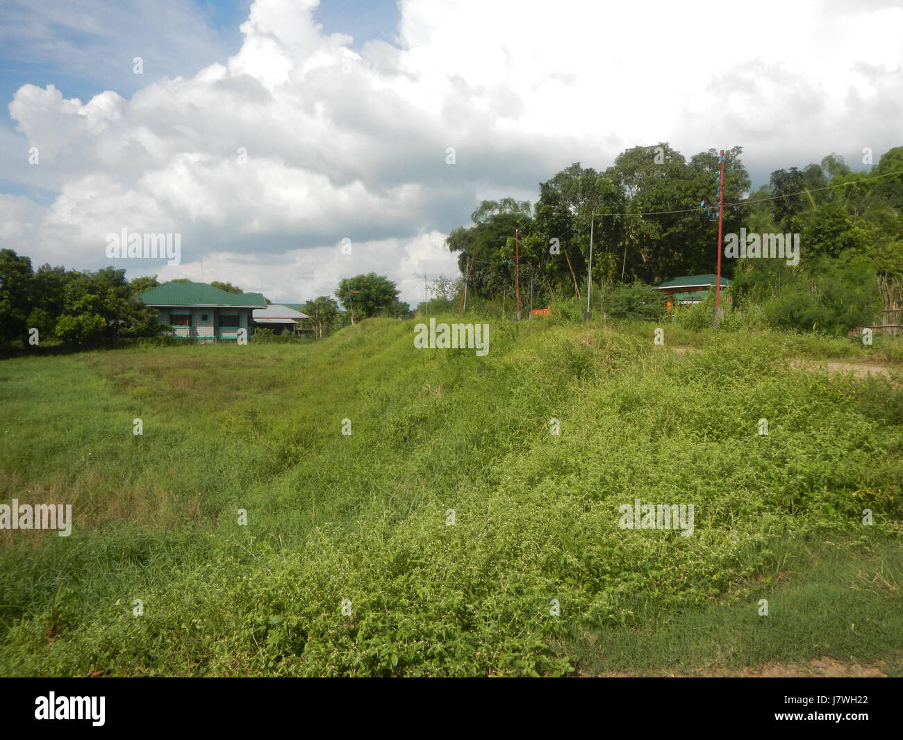 The landscape in San Ildefonso, Bulacan, includes expansive paddy ...