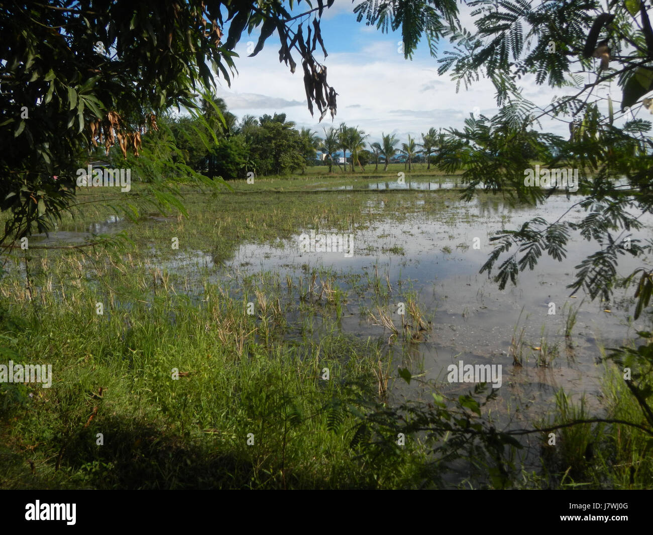 Sitio Pinagpala Extension in Bulualto, San Miguel, Bulacan, is a rural ...