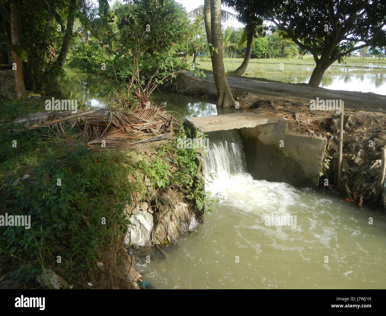 A photograph captures Farm Market Road 24 in Sitio Pinagpala Extension ...