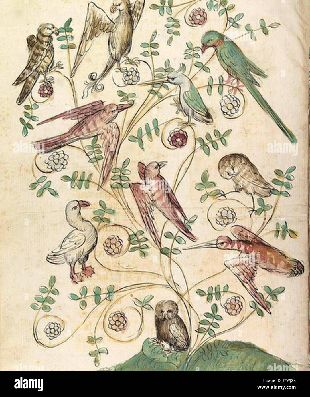 Traditional german legends hi-res stock photography and images - Alamy