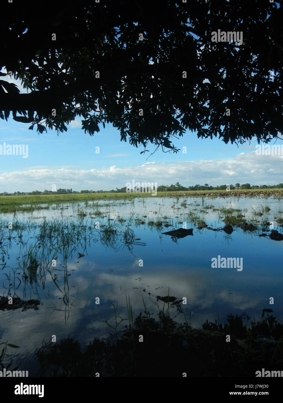 09984 Sitio Pinagpala Extension Bulualto San Miguel Bulacan Farm Market ...