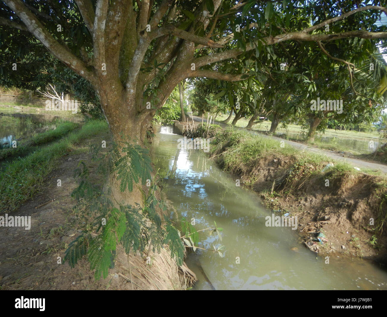 09984 Sitio Pinagpala Extension Bulualto San Miguel Bulacan Farm Market ...