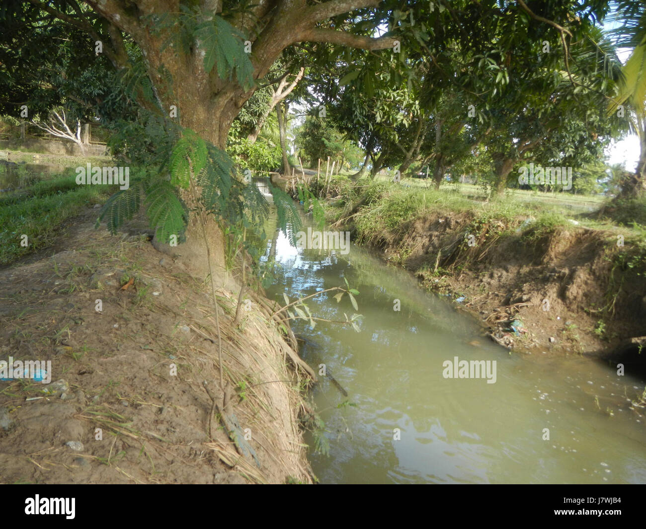 09984 Sitio Pinagpala Extension Bulualto San Miguel Bulacan Farm Market ...