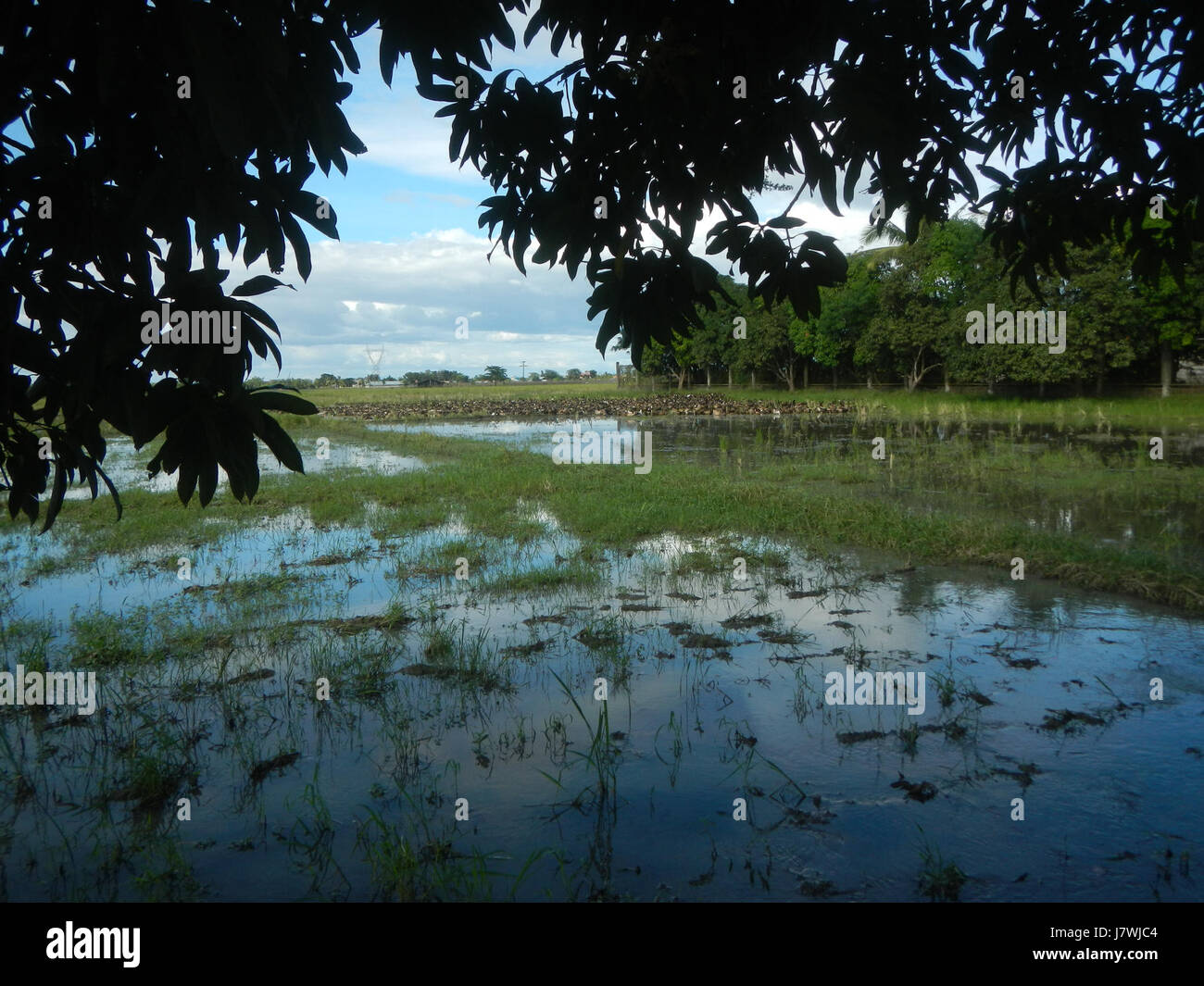 09984 Sitio Pinagpala Extension Bulualto San Miguel Bulacan Farm Market ...