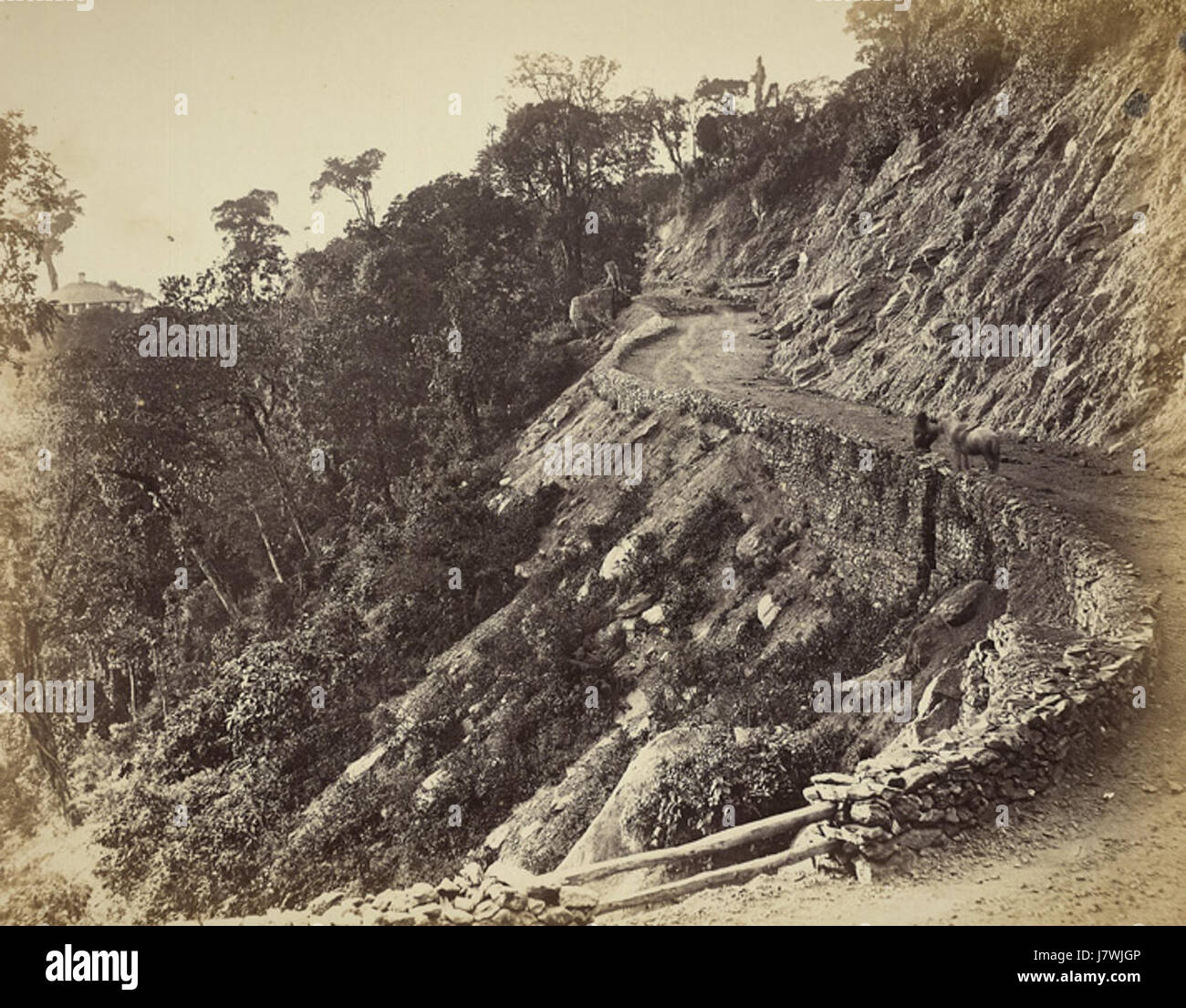 Darjeeling Hill Road Kurseong Dawk Bungalow Stock Photo - Alamy