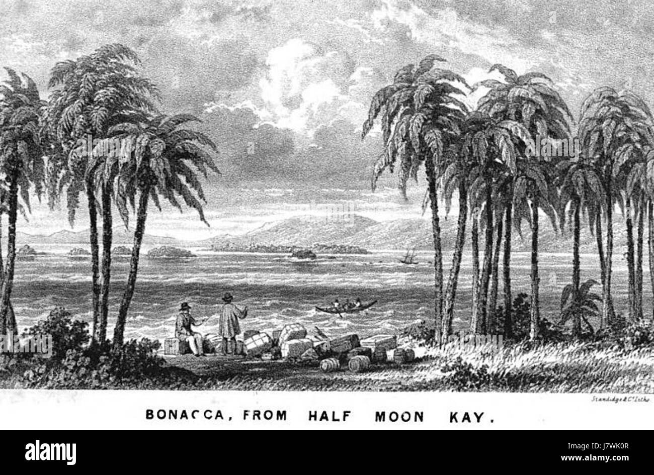 Guanaja hi-res stock photography and images - Alamy