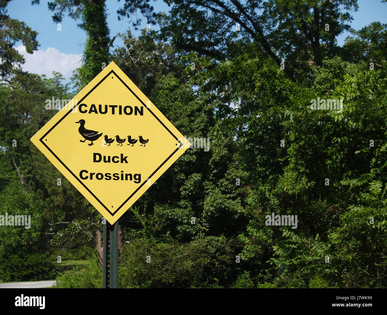 Ducklings crossing road sign hi-res stock photography and images - Alamy
