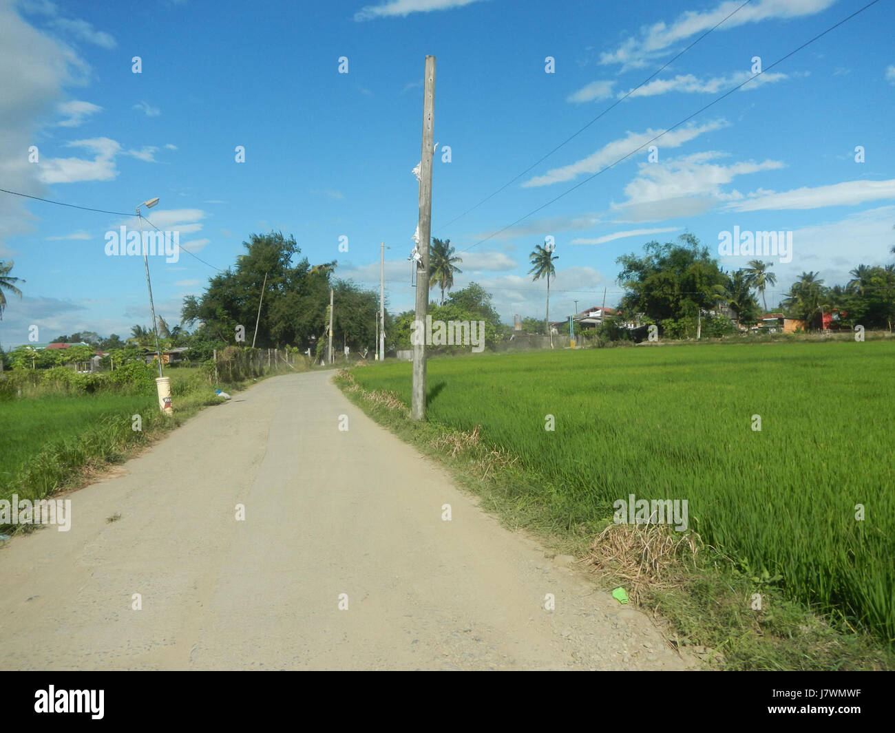 09980 Paddy fields Ilog Bulo San Miguel Bulacan Farm Market Road 10 ...