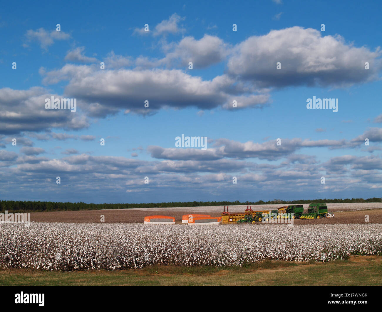 Georgia farm farming agriculture hi-res stock photography and images ...
