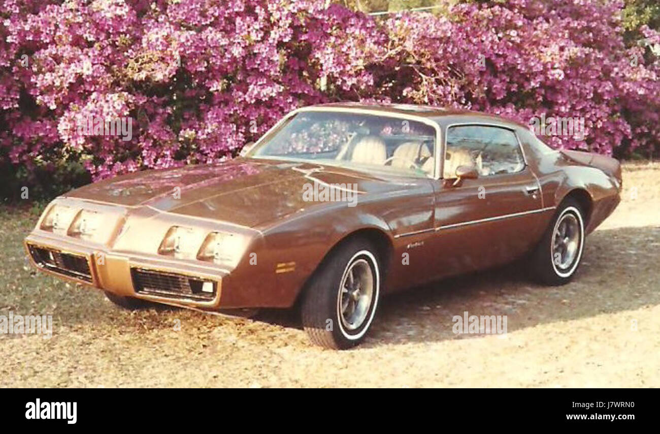 The 1979 Pontiac Firebird FDQ is a classic American muscle car, part of ...