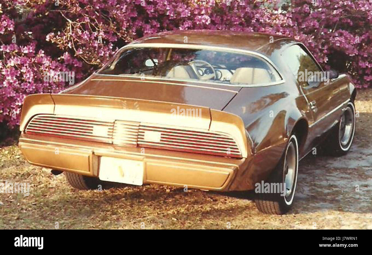 The 1979 Pontiac Firebird RV is a classic American muscle car, known ...